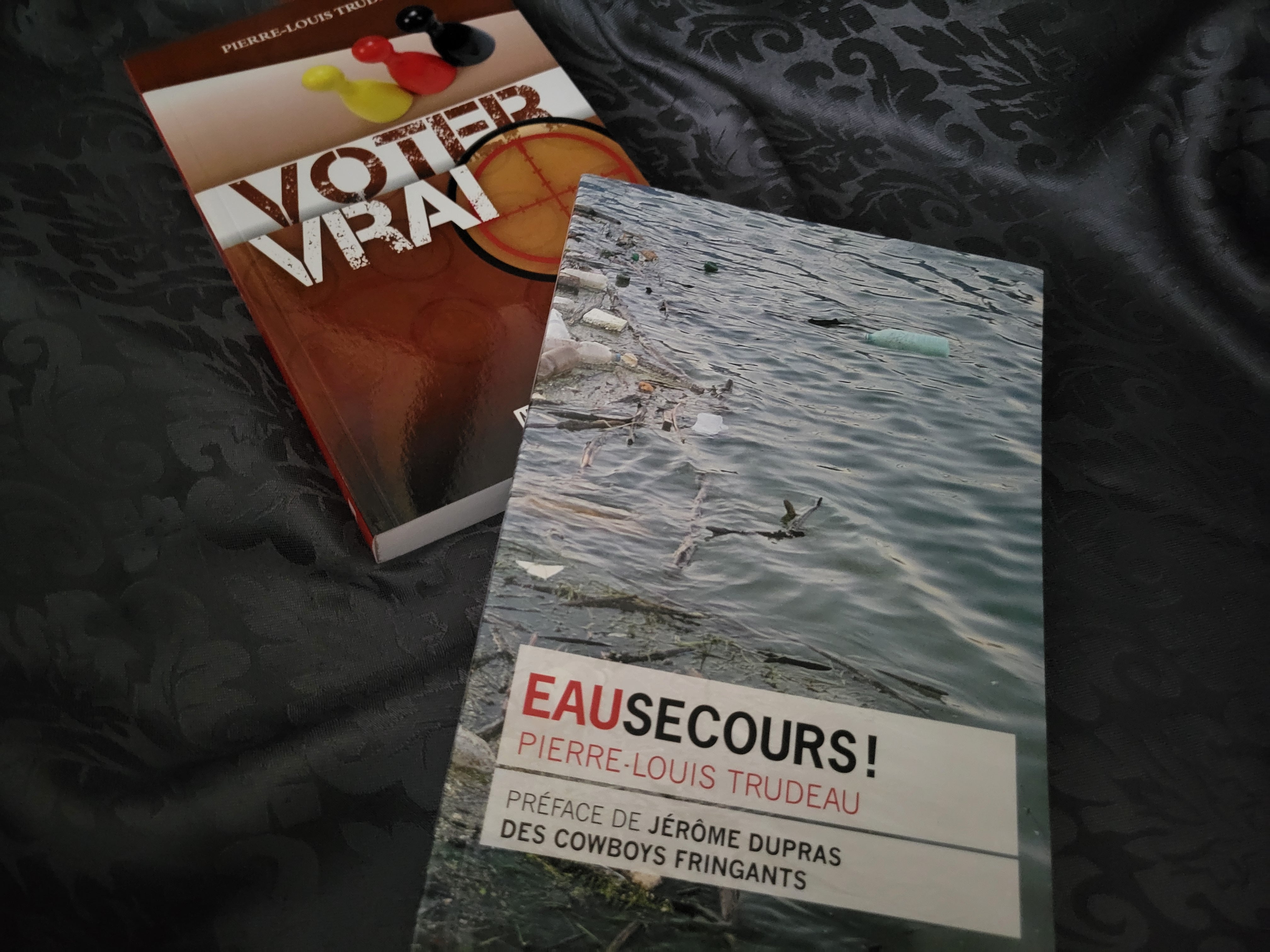 EAUSECOURS, Eau liberté + Voter Vrai – Pierre-Louis Trudeau – Les ...